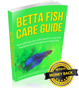 Betta Fish Book: Raise a Happy & Healthy Betta (Care Guide)